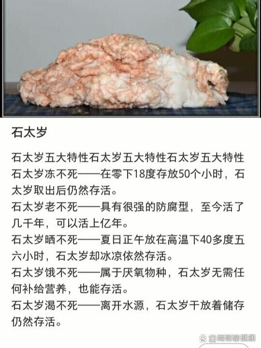 太岁的功效与作用图标