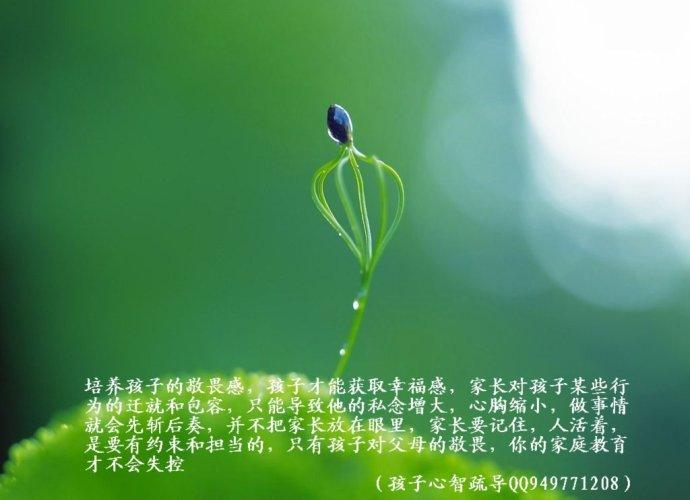 微图微语作品图标