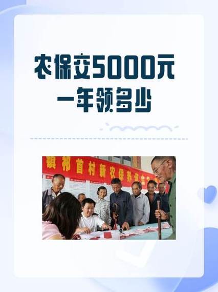 新农保和灵活就业的区别图标