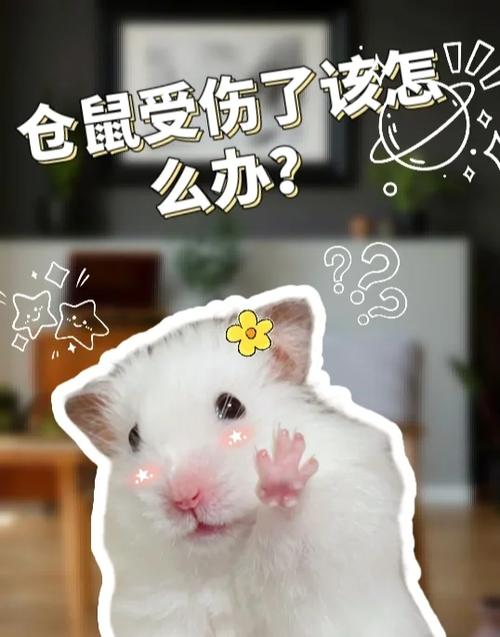 仓鼠受伤了会自愈吗图标