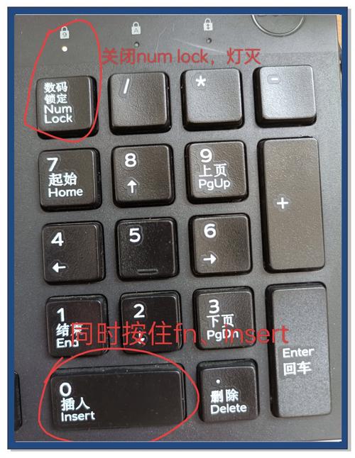 键盘输入一个字后面会消失一个字图标