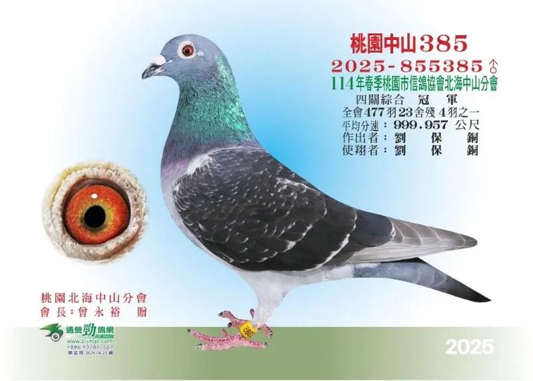 台湾台鸽各地信鸽协会图标