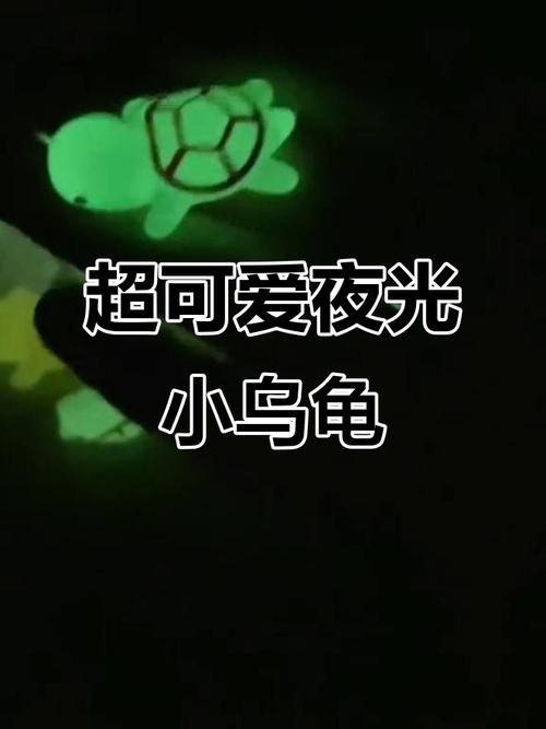 乌龟半夜不睡觉来回折腾咋回事图标