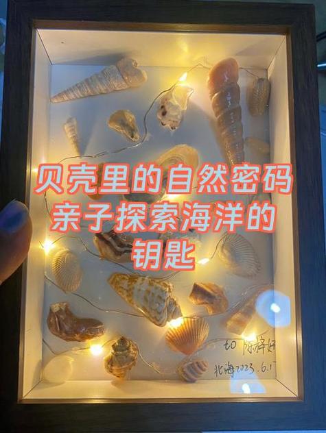登录贝壳账号密码截图