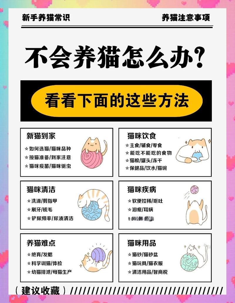 我的世界如何养猫咪图标