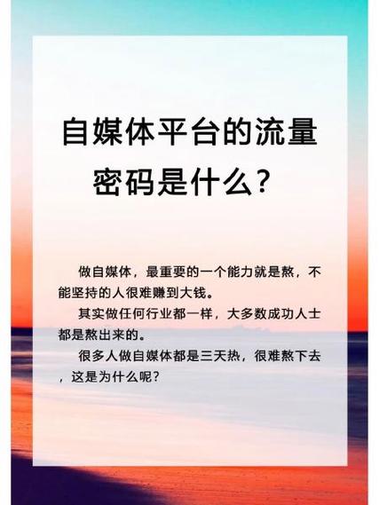 什么是流量密码