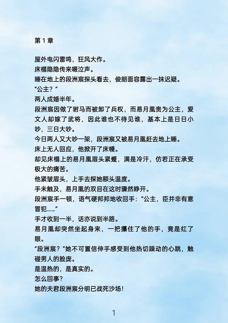 双心凤凰 小说图标