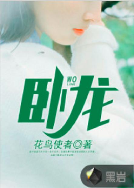 卧龙主小说图标