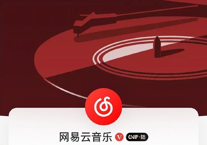 网易云哪种音质好图标