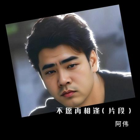 阿伟演唱歌曲图标