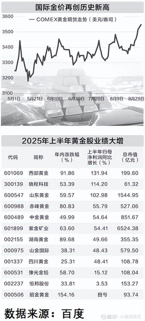黄金股票的十大龙头股
