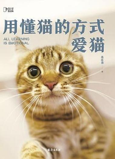 爱猫