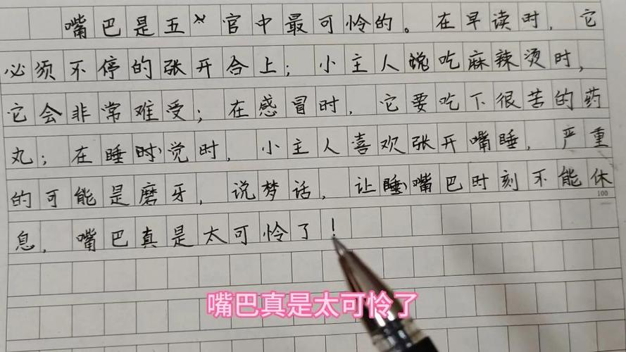 五年级小练笔图标
