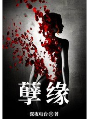 孽缘家庭小说图标