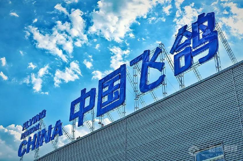 飞鸽总部在哪里截图