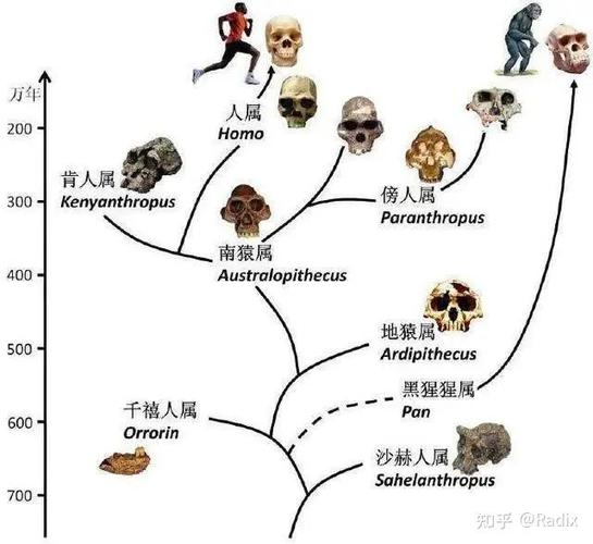 进化论的现状缩略图