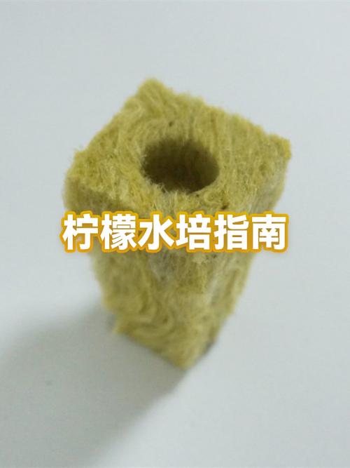 泡水喝用青柠檬好还是黄柠檬好图标