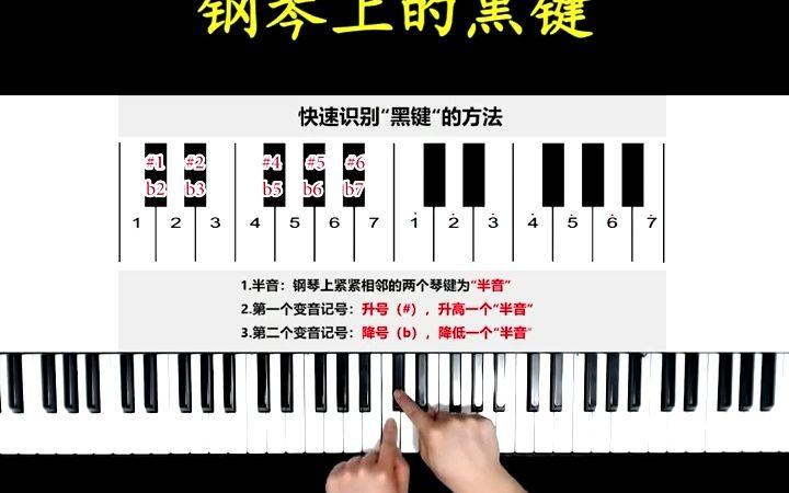 钢琴只弹黑键图标