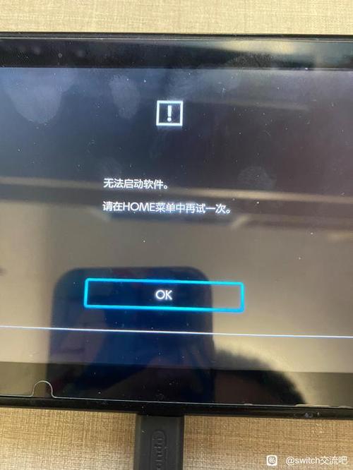 switch运行游戏错误关闭截图