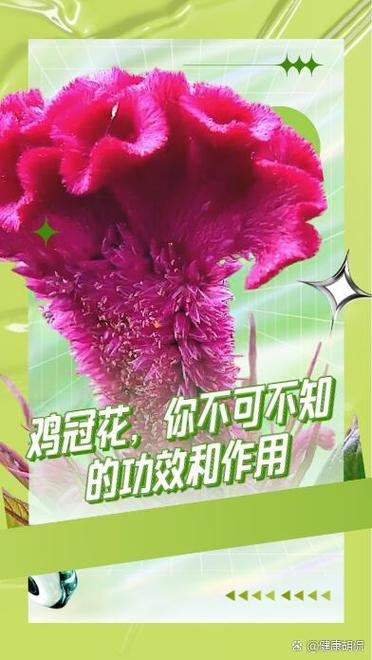 女人喝鸡冠花水的好处图标
