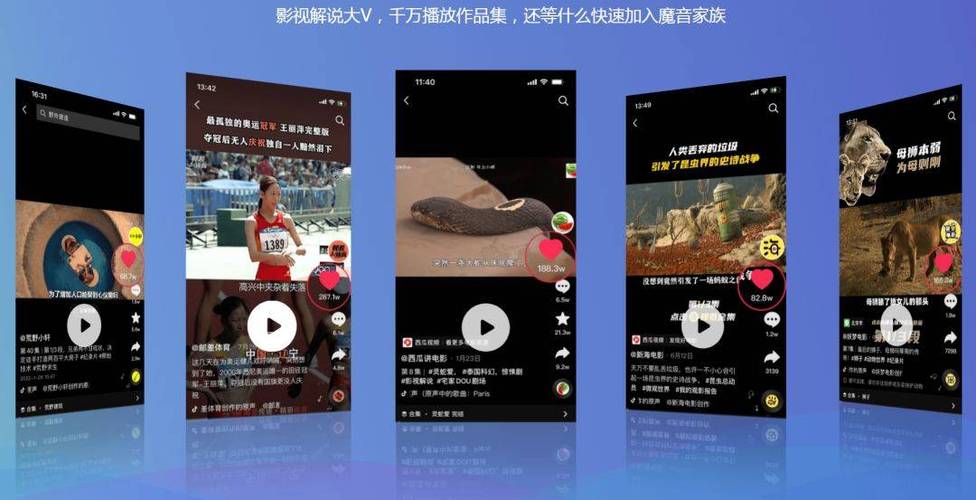 易撰网手机版免费官网图标