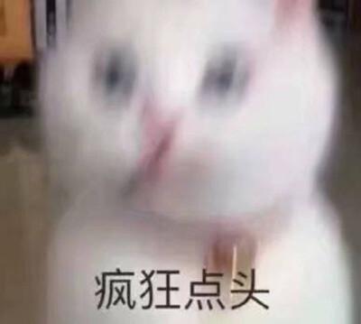 疯狂的表情包图标