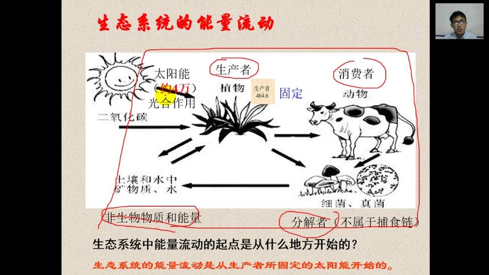 能量的流动方向由什么决定图标
