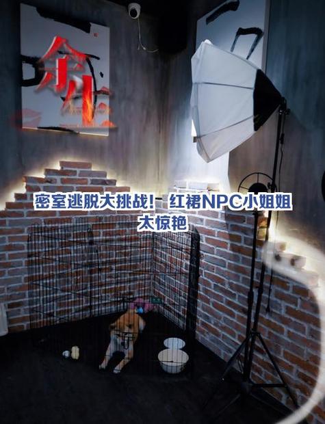 真人密室逃脱 红图标
