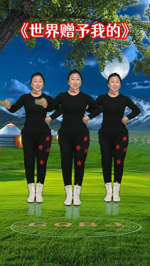 糖豆广场舞2025年最新广场舞图标