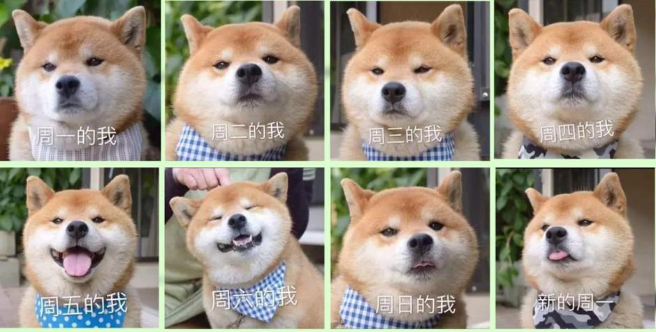 周一到周日表情包图标
