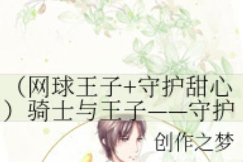 与王子的骑士类似小说图标