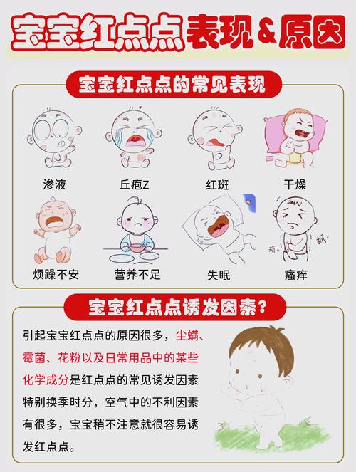 红小宝2019年最新情况图标