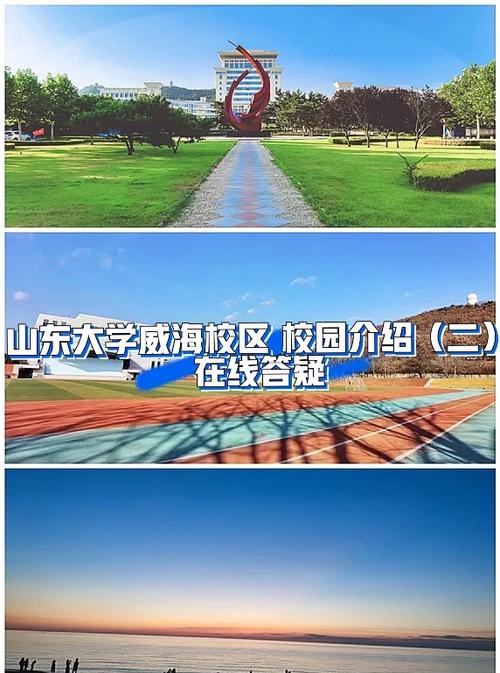 山大威海最厉害三个专业图标