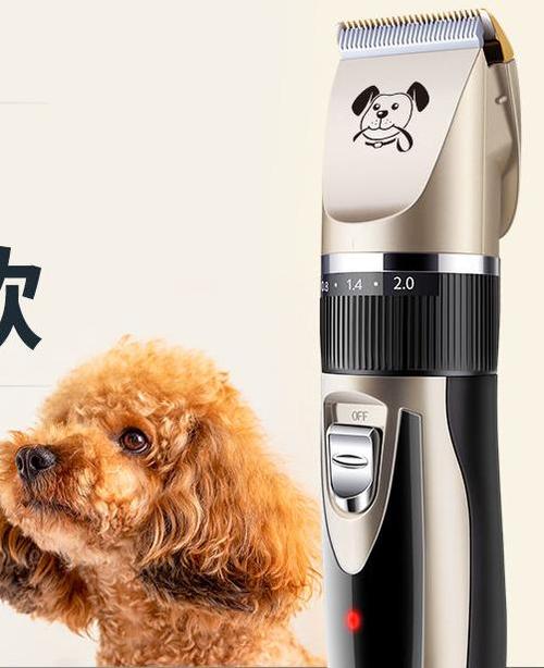 十大最强工具宠