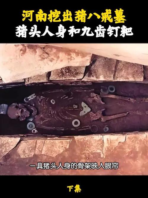 神话考古:我的墓,震惊全球!图标