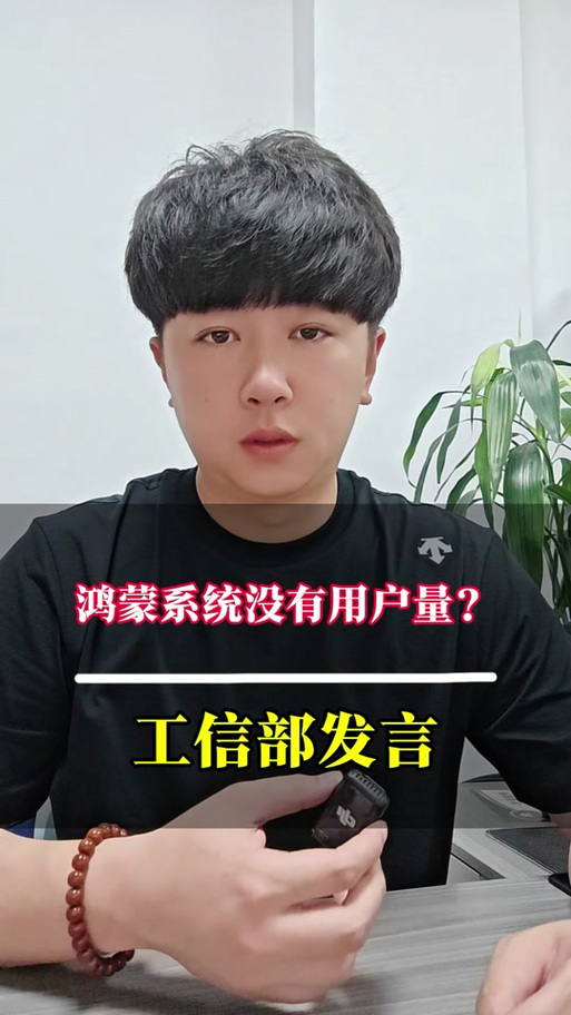 鸿蒙系统花了多少钱研发图标