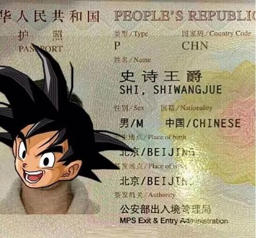 王者荣耀用家长身份证截图