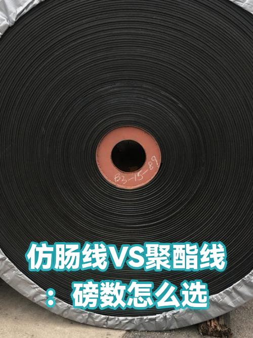 26磅和27磅哪个舒服图标