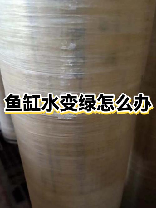 鱼缸绿水的原因和解决办法图标