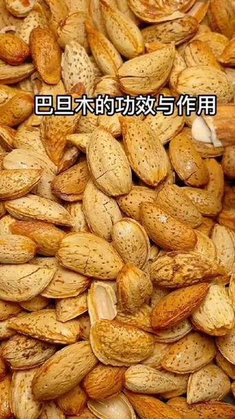 四种人不宜吃巴旦木图标