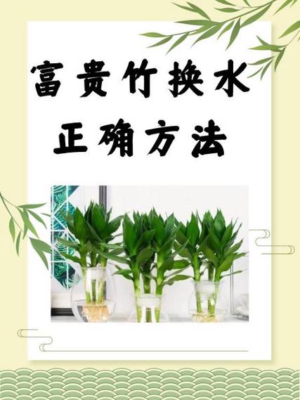 来水和去水的正确方法图标
