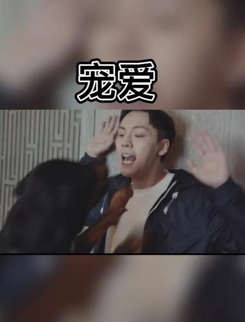 男主很暖很温柔的宠文图标