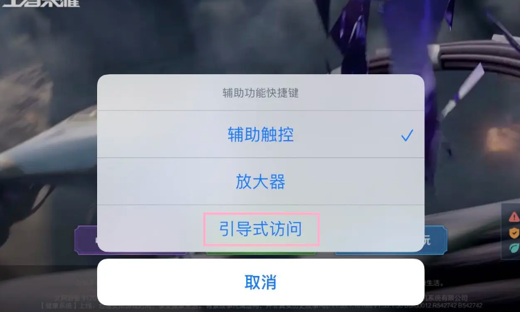 苹果手机怎么退出引导式访问模式图标