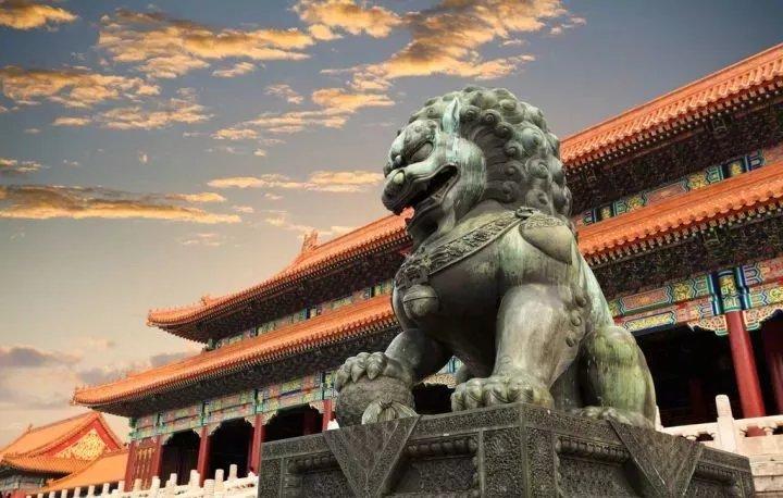 九五至尊是什么动物截图