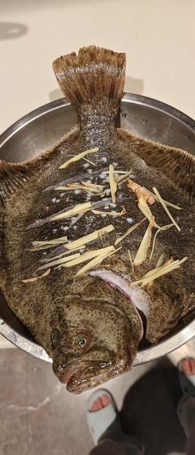 多宝鱼用不用刮鱼鳞吗图标