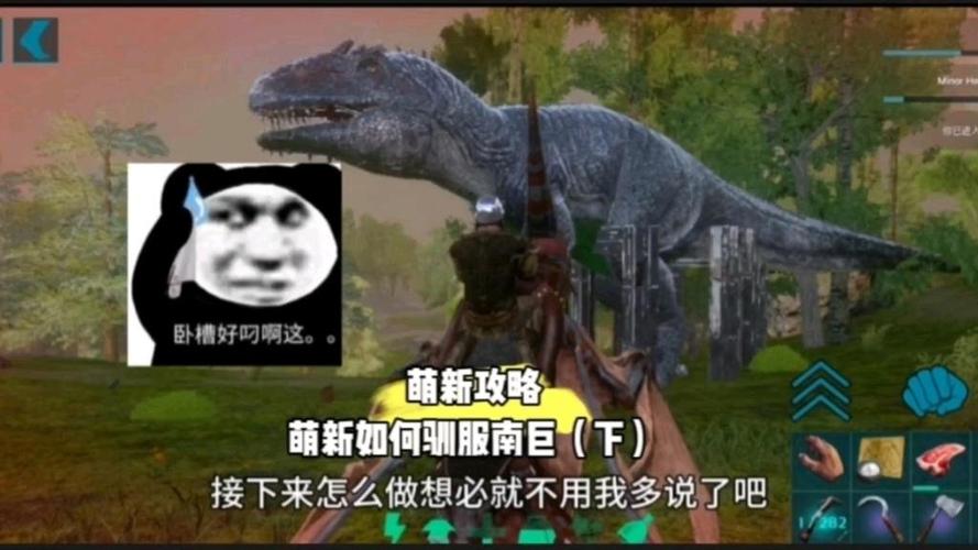 快速刷满级南巨教程图标