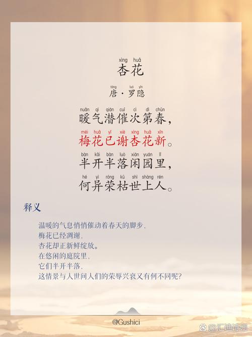 武老大苗杏花全文免费阅读图标