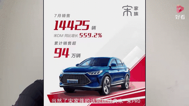 比亚迪宋无损音乐格式图标