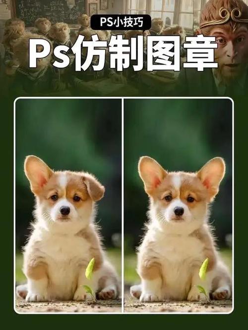 ps 仿制图章怎么使用
