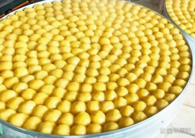 东北粘豆包图片